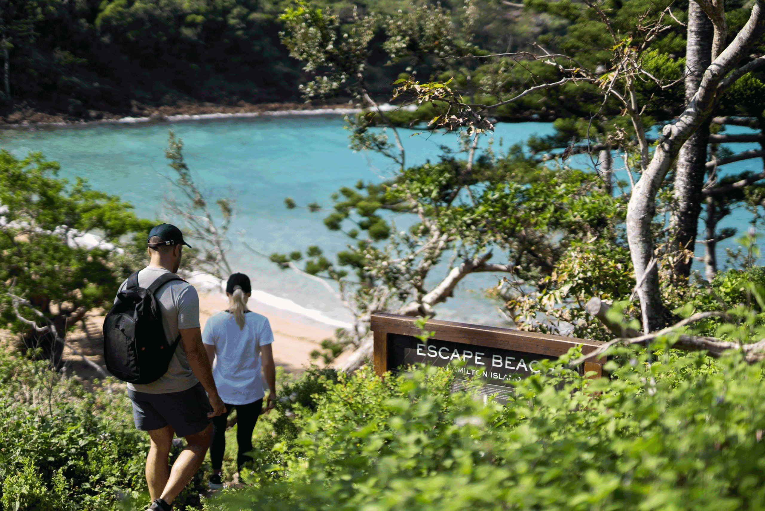 qualia-guided-walks-escape-beach-discovery.png?w=1920&h=1005&fit=crop&crop=focalpoint&fp-y=0.5 ...